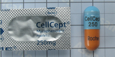셀셉트 캡슐 [250mg] ( Cellcept cap [250mg]) | 의약품정보 | 의료정보 | 건강정보 | 서울아산병원